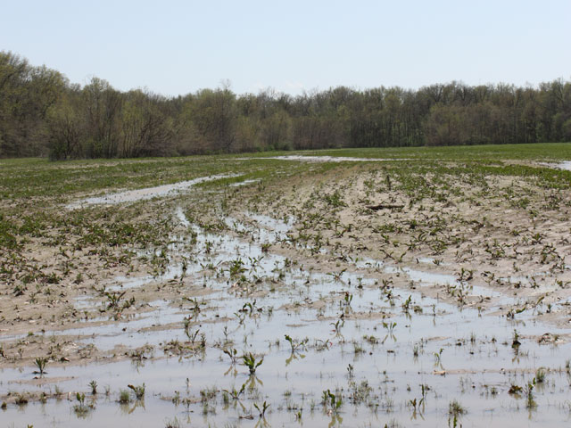 Missouri Farmers See Quick Start to Planting