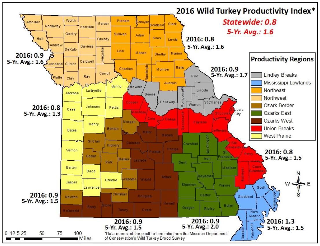 Missouri Department of Conservation says fall turkey hunting could be ...
