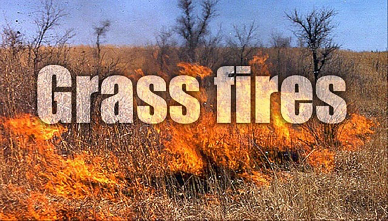 Laredo firefighters battle multiple grass fires north of town