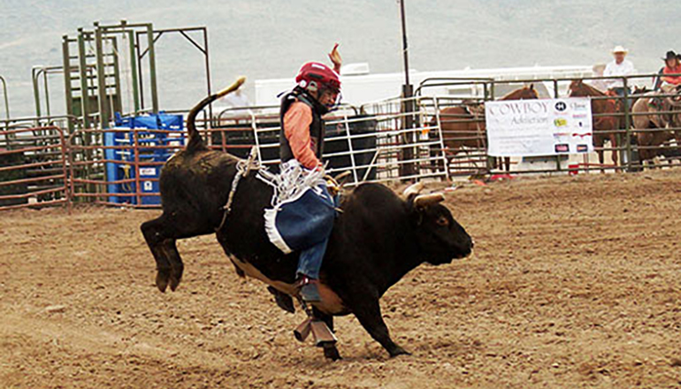 Bull Buckout to be held at Sullivan County Expo and Fairground in Milan