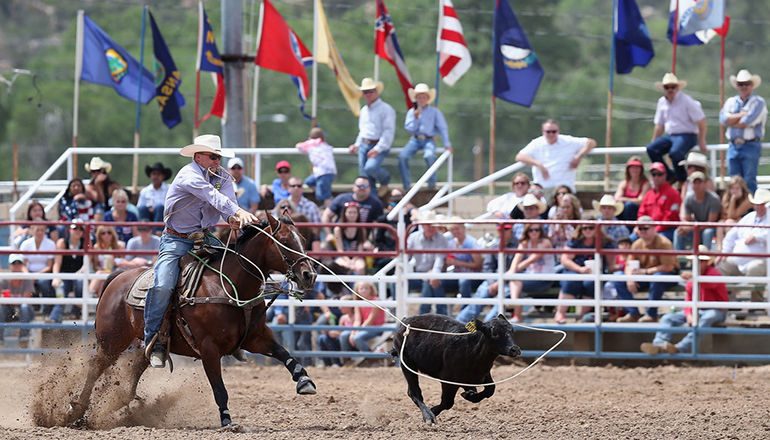 Rodeo to be held in Milan this weekend