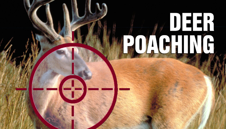 Audio: Conservation Agent Jeff Berti on poaching deer