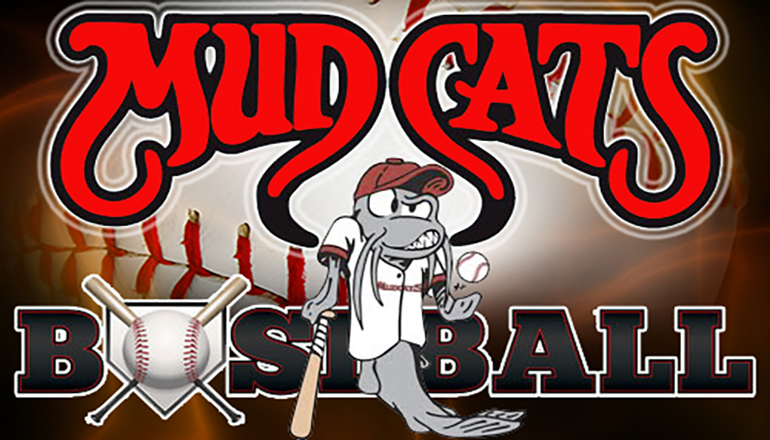 Families and Friends attend Mudcats game
