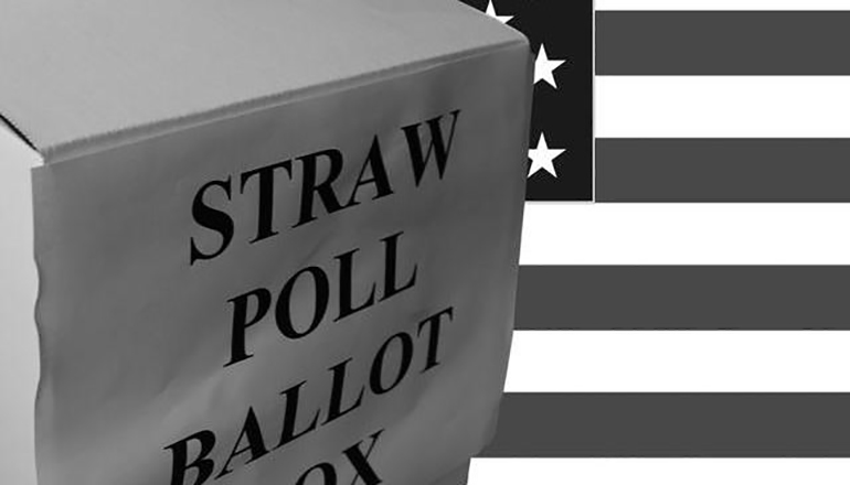 Audio: Straw poll at Missouri State Fair shows landslide for Hawley ...