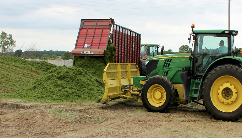 Chopped corn silage offers better control for beef producers