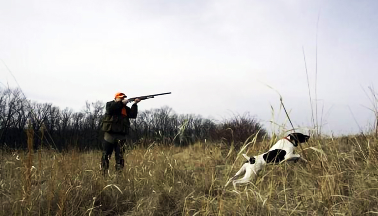 Missouri Department of Conservation to offer "Wingshooting for the ...