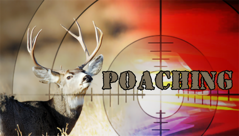 Penalties increase for poaching in the state of Missouri