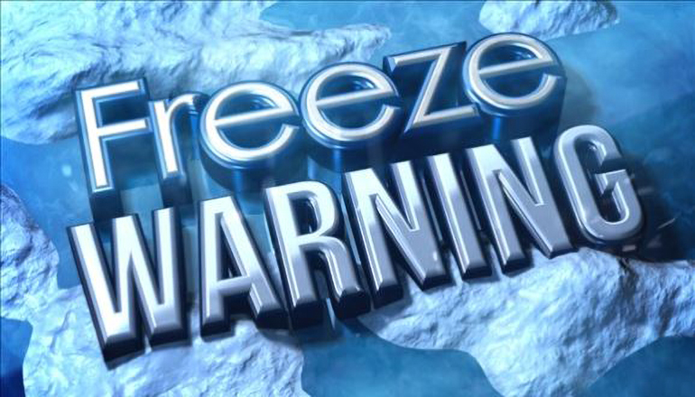 Low temperatures prompt Freeze Warning for several Missouri counties