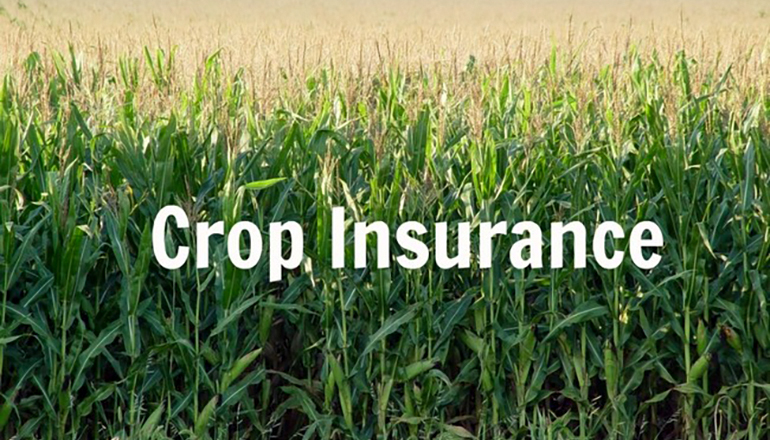 New option to crop insurance farmers need to consider