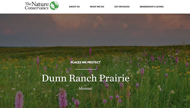 Missouri Department of Conservation invites teachers to free prairie ...