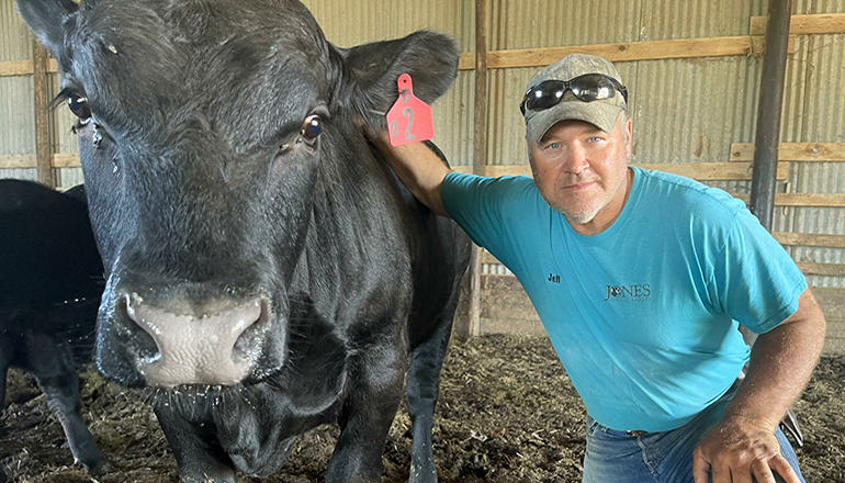 As massive livestock operations move in, fighting them gets harder for ...