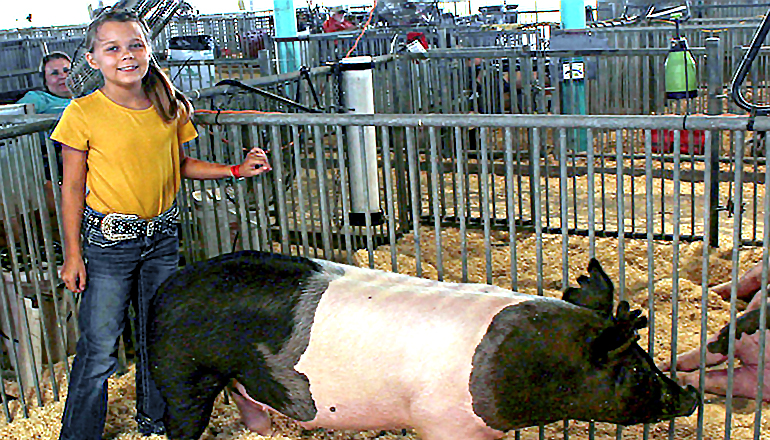 Missouri 4-H'ers donate more than a half-ton of protein to fight food ...