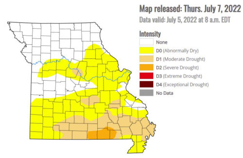 Sixty four percent of Missouri experiencing drought conditions