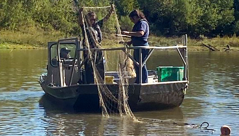 Missouri Department of Conservation to remove invasive carp from lower ...