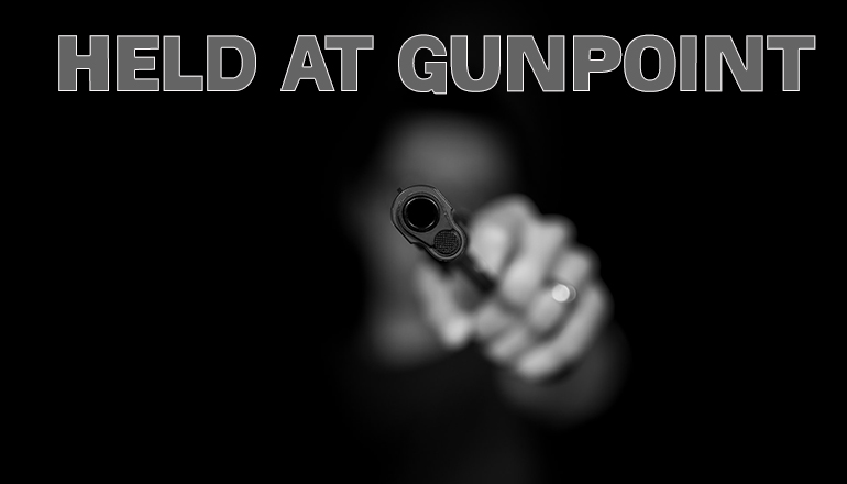 Crime victim holds suspect at gunpoint until Livingston County ...