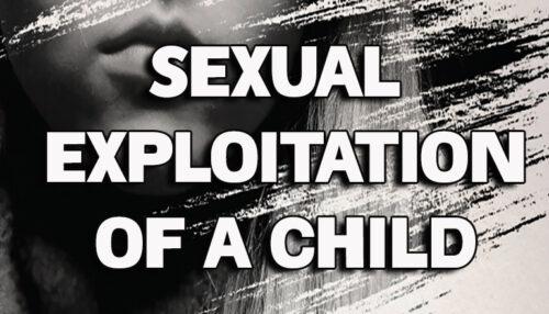 Missouri woman pleads guilty to child exploitation enterprise Missouri woman pleads guilty to child exploitation enterprise