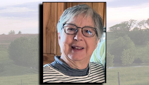 Obituary & Services: Patricia Ann (Baughman) Stelzer