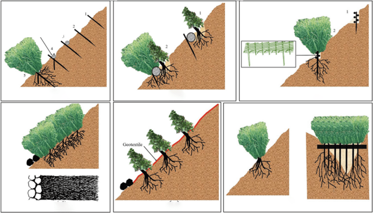 River watchers use 'old' technology to renew ecosystems