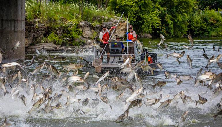 Missouri Department of Conservation partners with U.S. Fish and ...