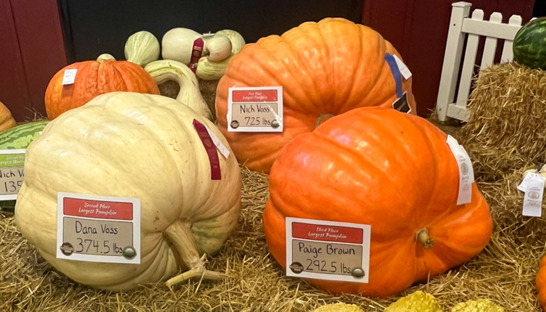 Audio: Missouri man takes home top prize in Missouri State Fair's ...