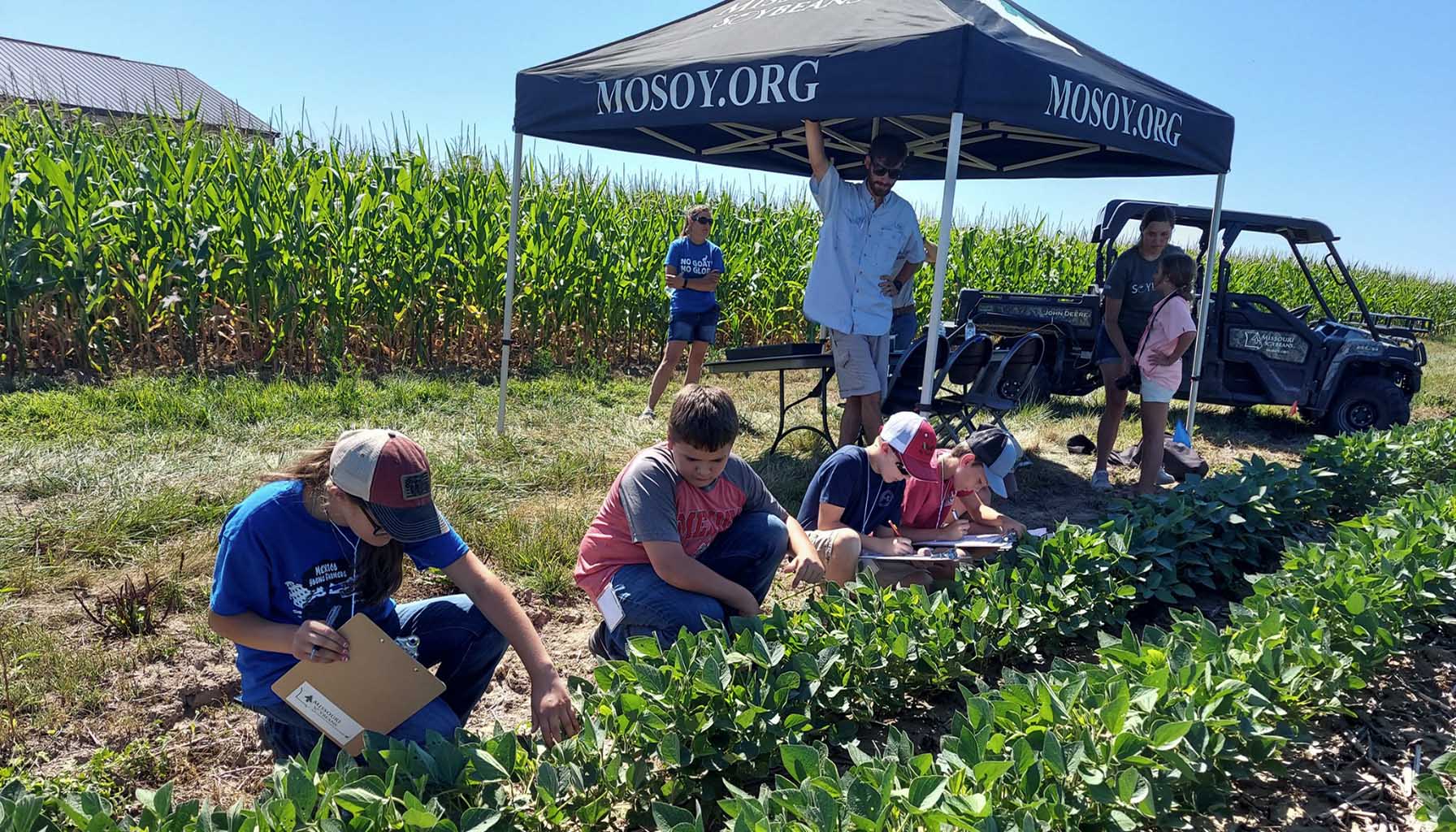 Missouri 4-H to host crop field day at MU Bradford Farm