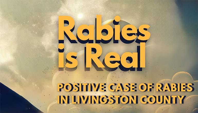 Rabies case confirmed in Livingston County, vaccinate pets and report bites