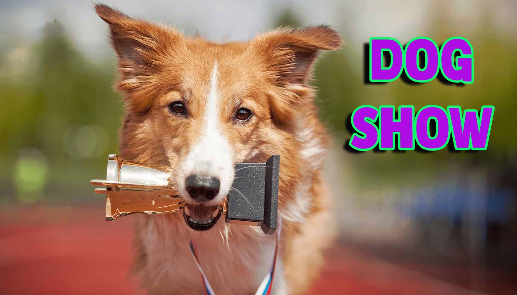 Livingston County Fair Dog Show winners announced