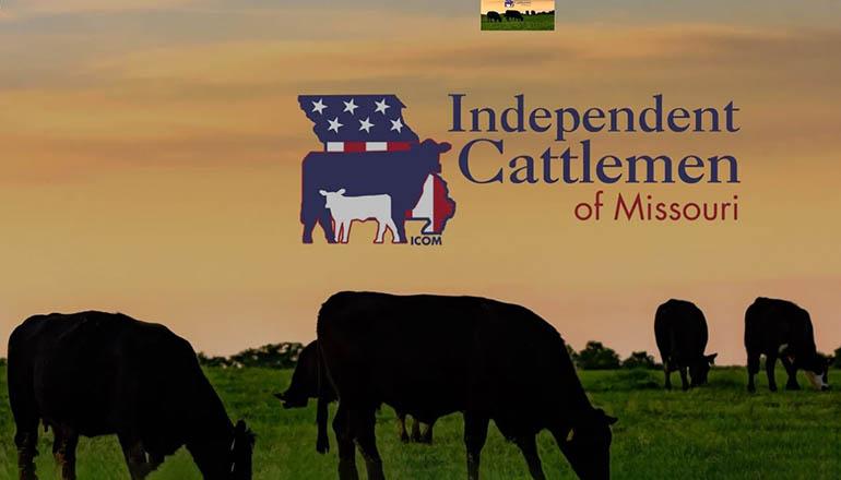 Independent Cattlemen of Missouri annual meeting set for Sept. 14 in ...