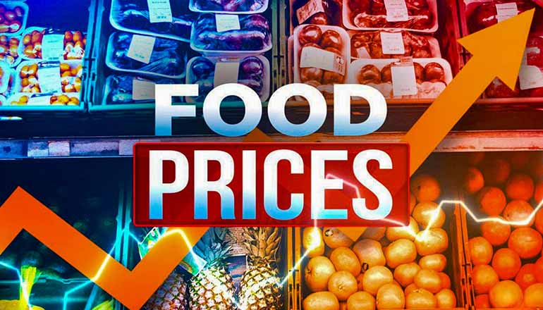US grocery prices – and eggs in particular – climb heading into holiday ...