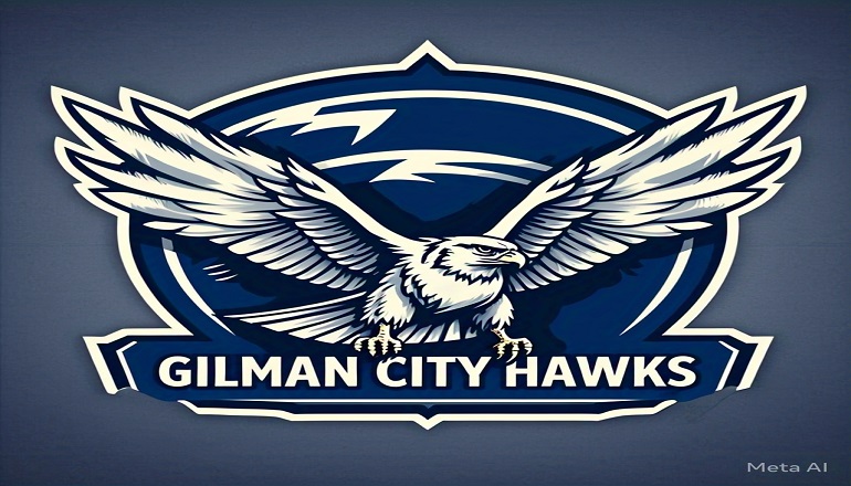 Gilman City and Grundy/Newtown take district semifinal wins, advance to ...