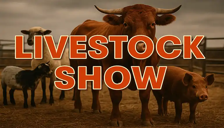 Full list of 2025 DeKalb County Fair livestock show winners announced