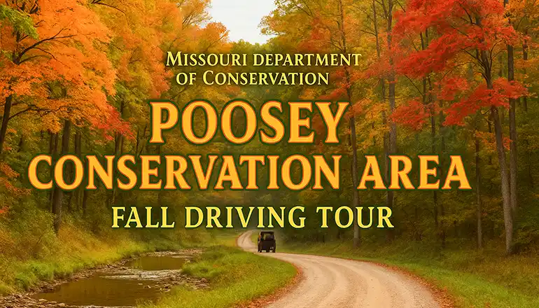 Poosey fall driving tour scheduled for Oct. 19